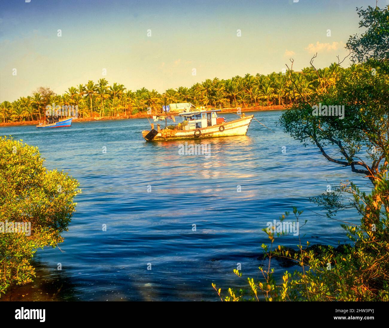 Beauty of rural Goa. High resolution intimate recollection of idyllic holiday location for ...