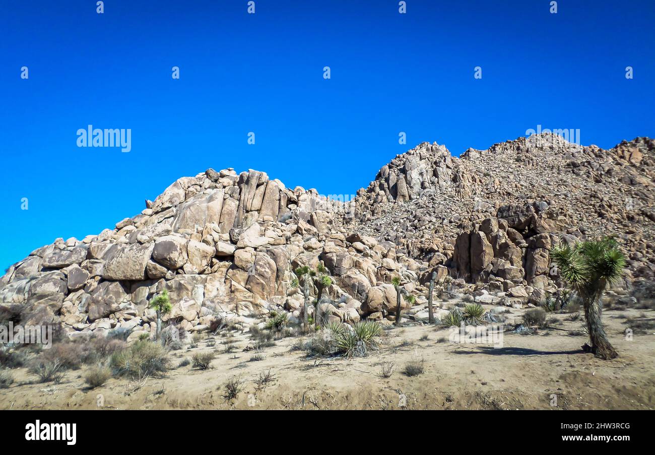 Burned tree rock formations hi-res stock photography and images - Alamy