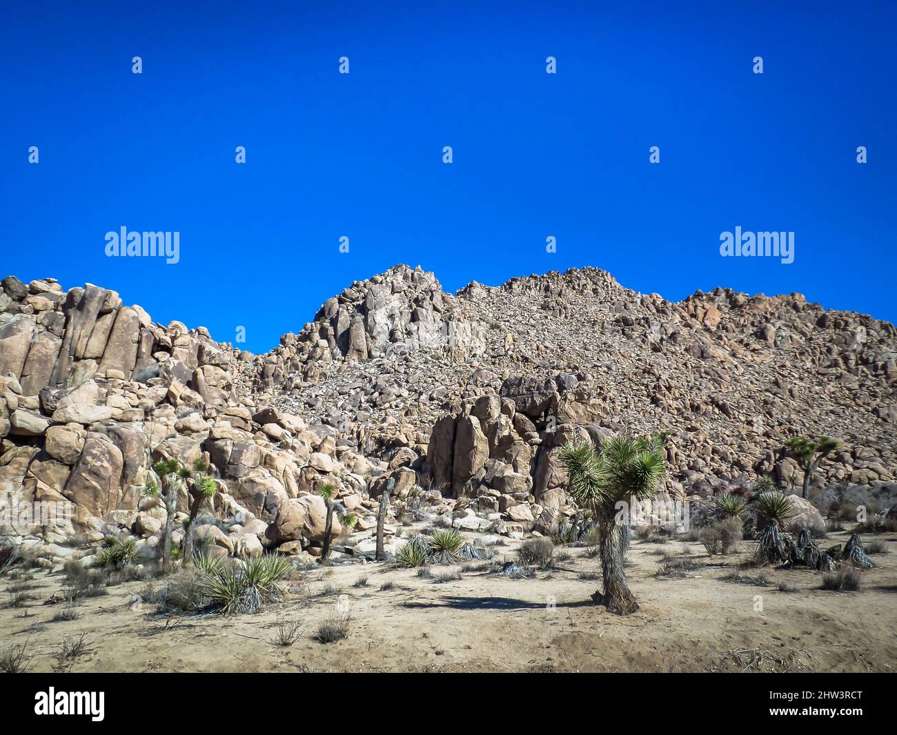 California, USA, view of a rock formation in Joshua Tree National Park Stock Photo - Alamy