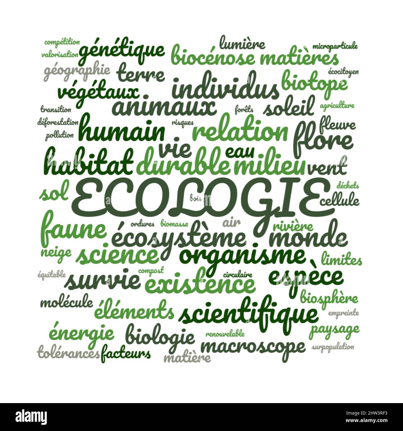 Ecology word cloud vector illustration in French language Stock Photo ...