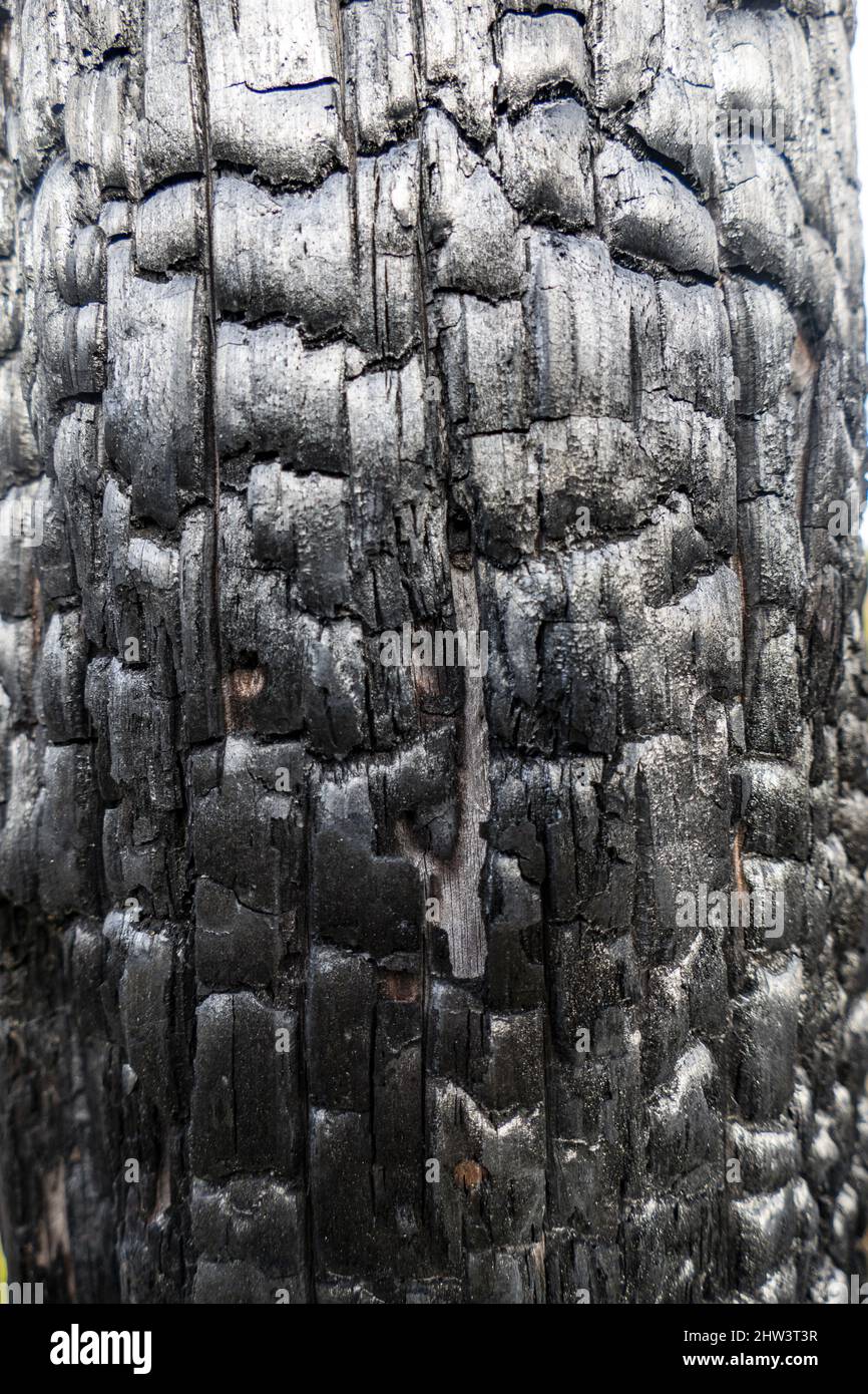 Burnt cracked wood texture hi-res stock photography and images - Alamy