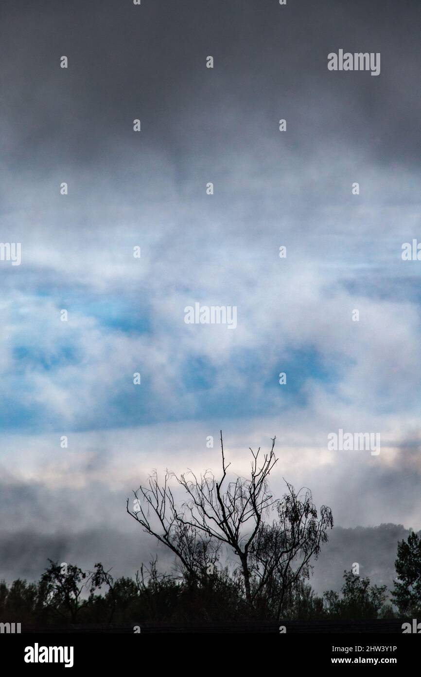 Brume brumeux hi-res stock photography and images - Alamy