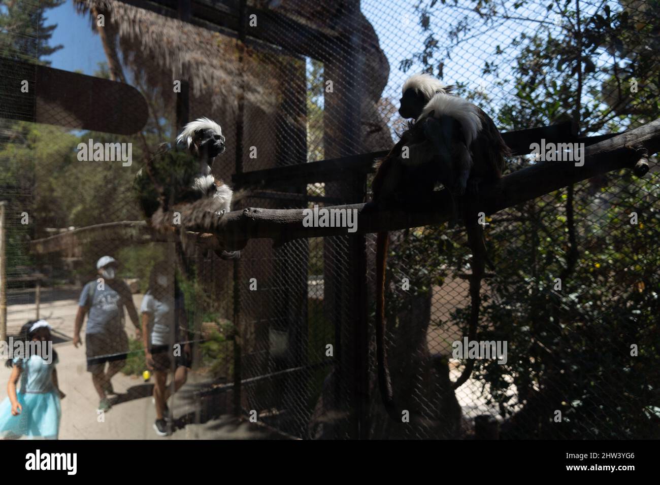 Santiago, Metropolitana, Chile. 3rd Mar, 2022. A family is reflected in ...