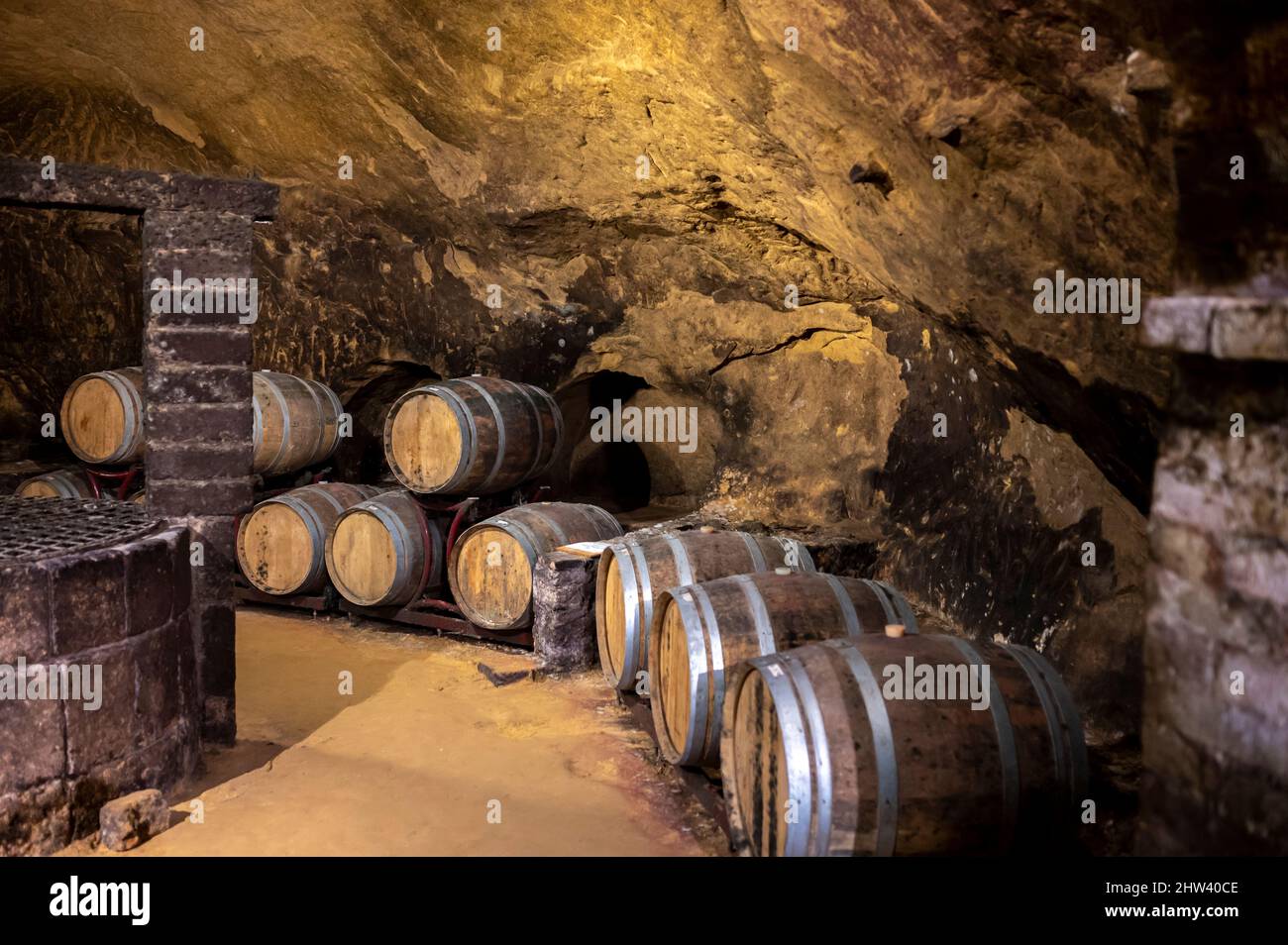Medieval underground wine cellars with old red wine barrels for aging ...