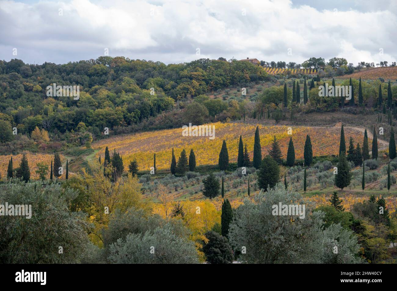 Walking on hills near Abbazia Sant'Antimo, Montalcino, Tuscany, Italy ...