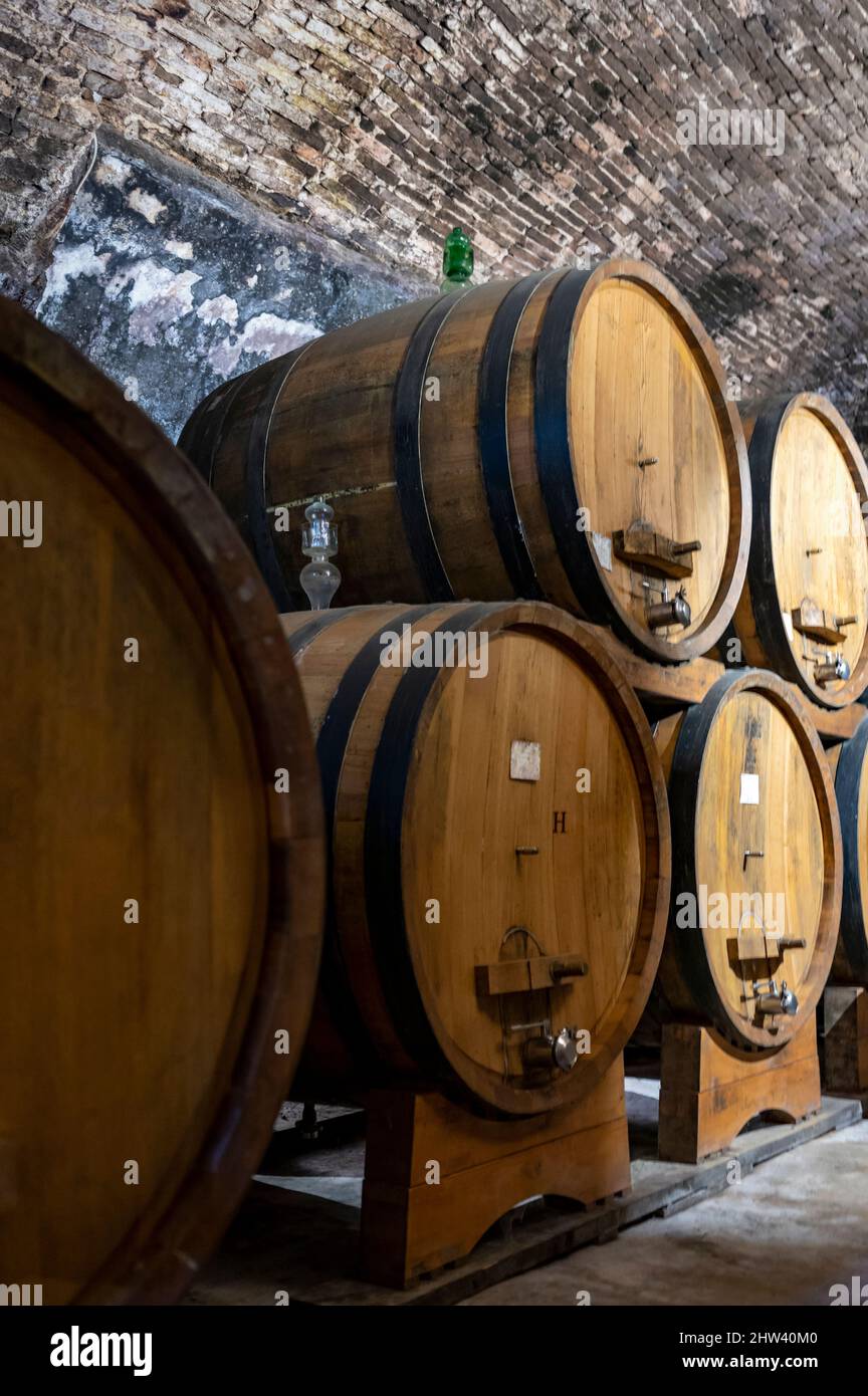 Medieval underground wine cellars with old red wine barrels for aging ...