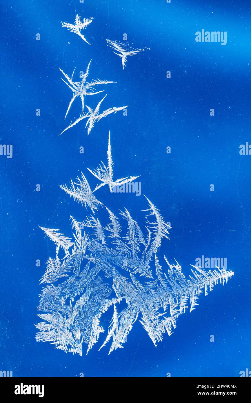 Frost; Frost feathers; Ice Patters on Window Glass; -30F; Alaska Stock ...