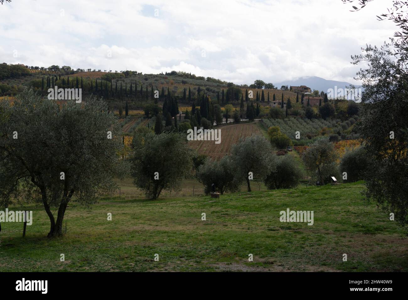 Walking on hills near Abbazia Sant'Antimo, Montalcino, Tuscany, Italy ...