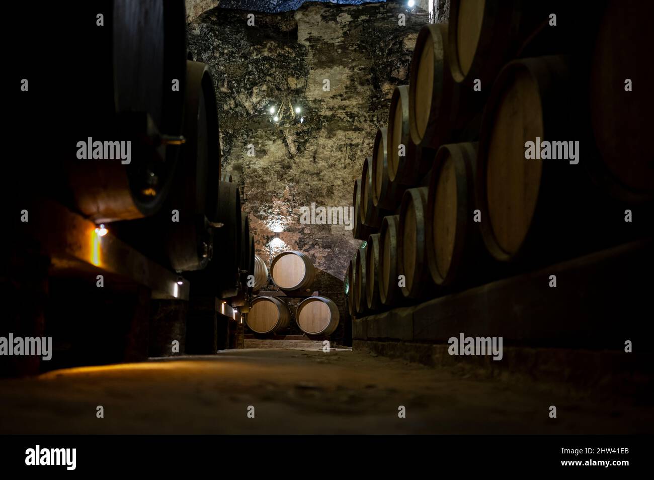 Medieval underground wine cellars with old red wine barrels for aging ...
