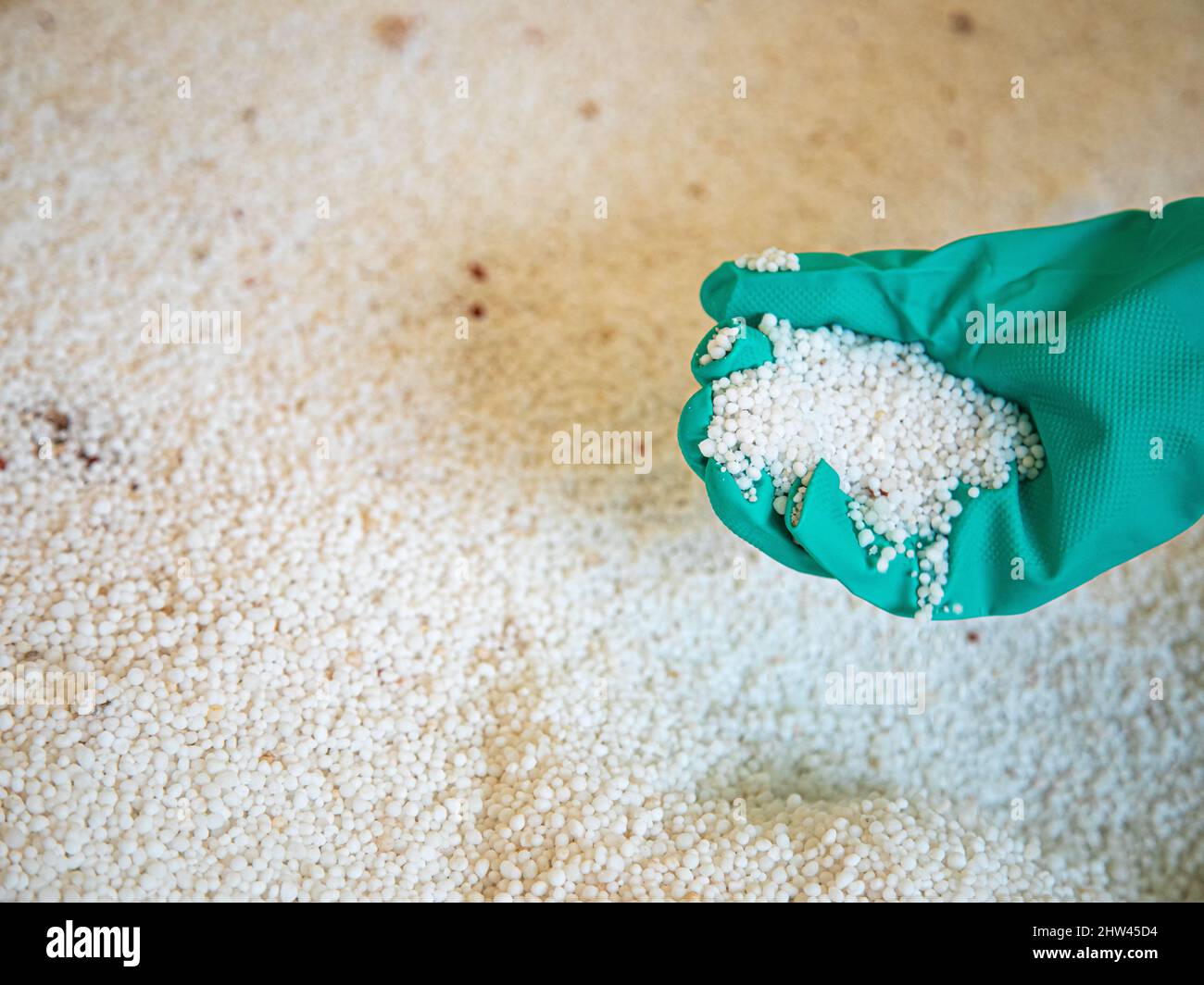 urea nitrogen fertilizer grain detail with selective focus Stock Photo ...