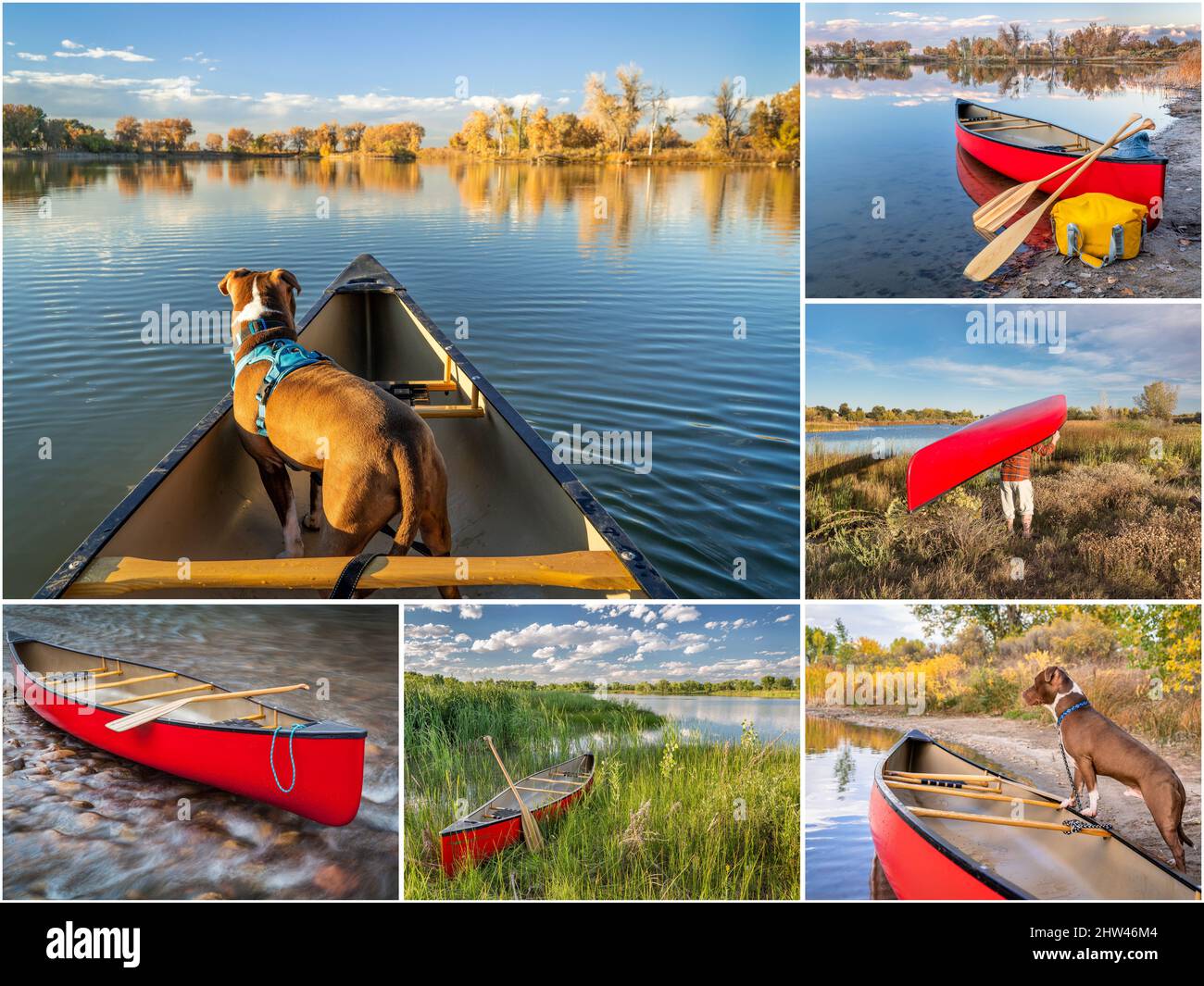 canoe paddling and recreation with a dog, a set of pictures from lakes ...