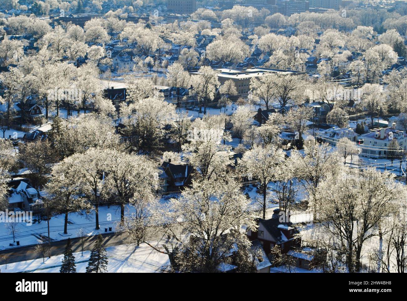 Ice covered trees and houses after ice storm and freezing rain in ...