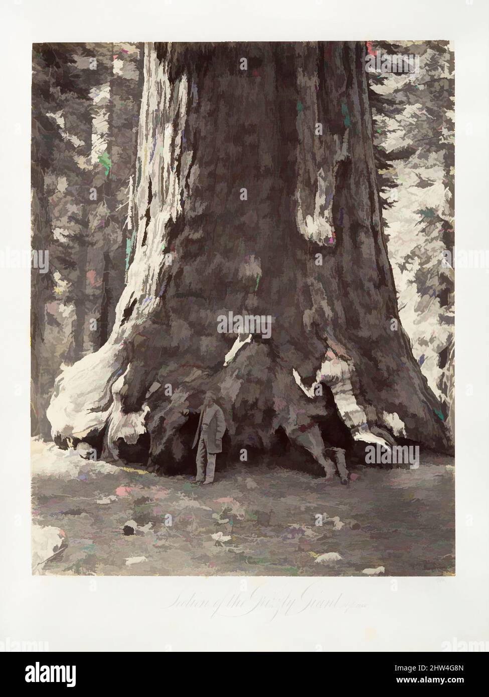 101 feet circumference hi-res stock photography and images - Alamy