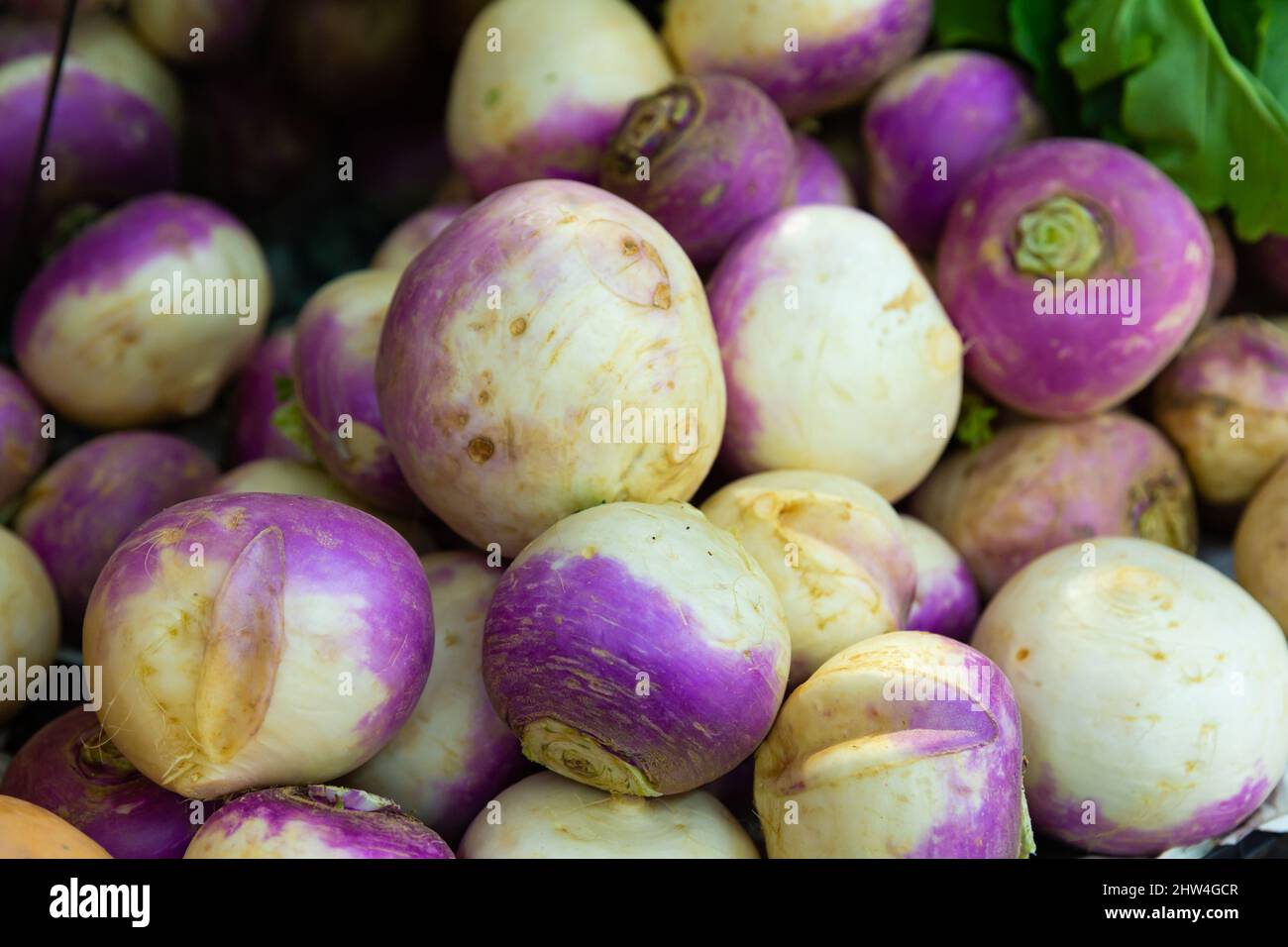 Turnip roots displayed for sale at greengrocery Stock Photo - Alamy