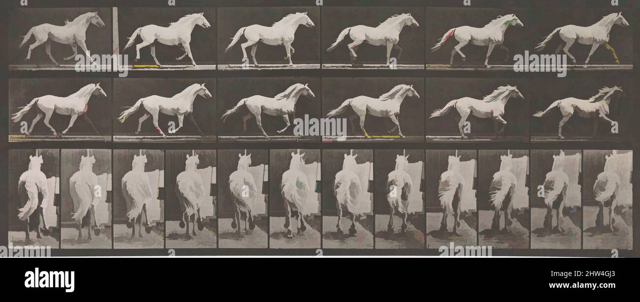 Art inspired by Animal Locomotion. An Electro-Photographic ...