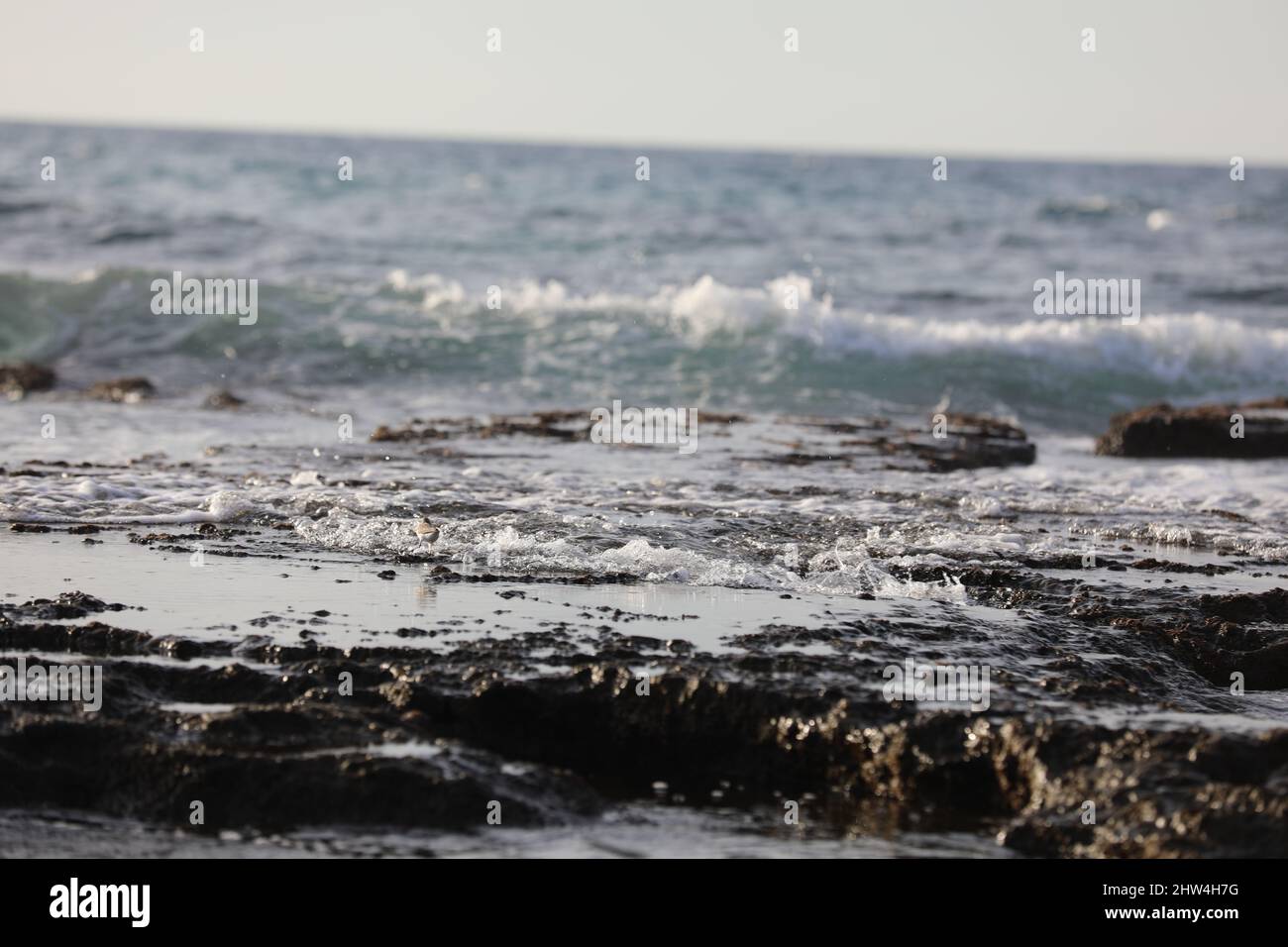 Landscape of rock and sea High quality Stock Photo - Alamy