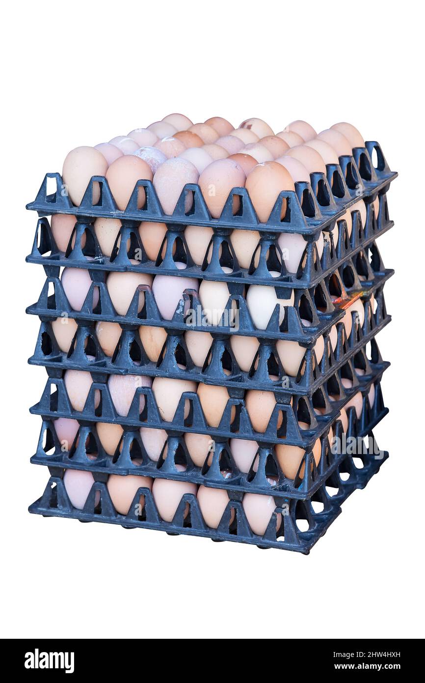 Chicken eggs in egg tray, work with clipping path Stock Photo - Alamy