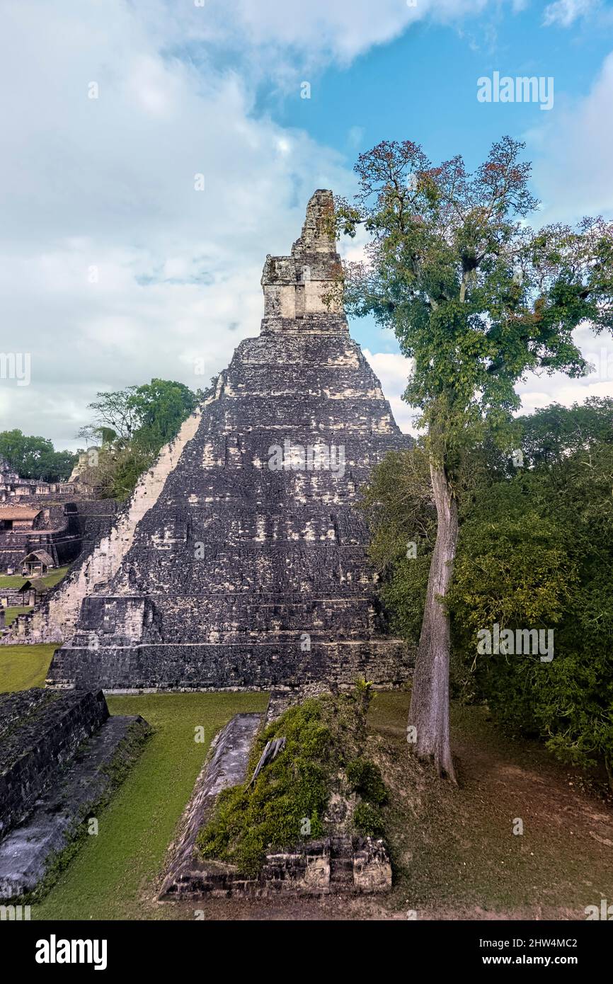 Temple I rises above the Great Plaza at Tikal National Park, Petén ...