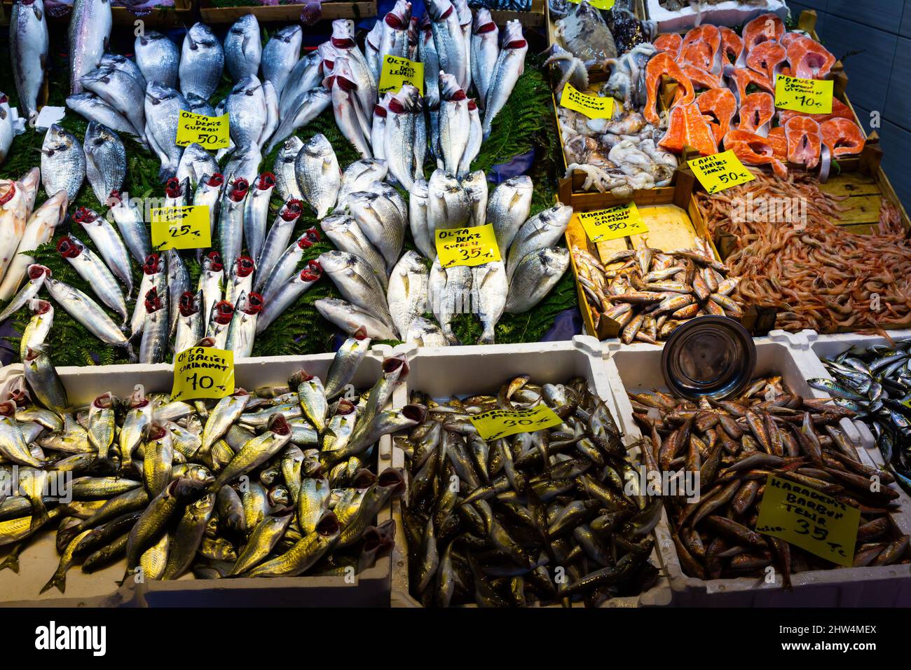 Fish showcase with diversity of fresh marine products on market Stock ...