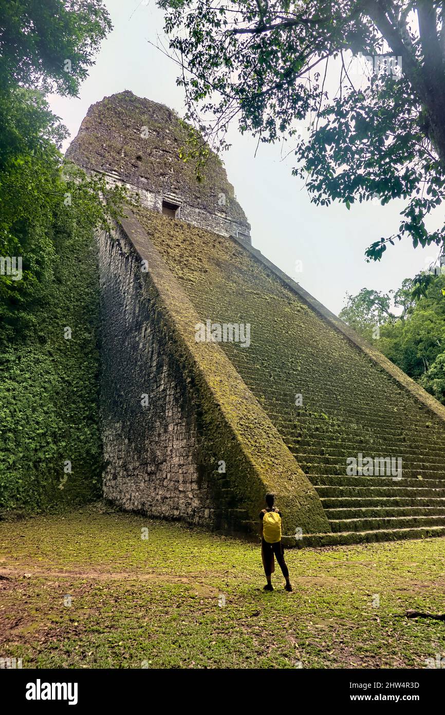 Gazing up at Temple V at Tikal National Park, Petén, Guatemala Stock ...