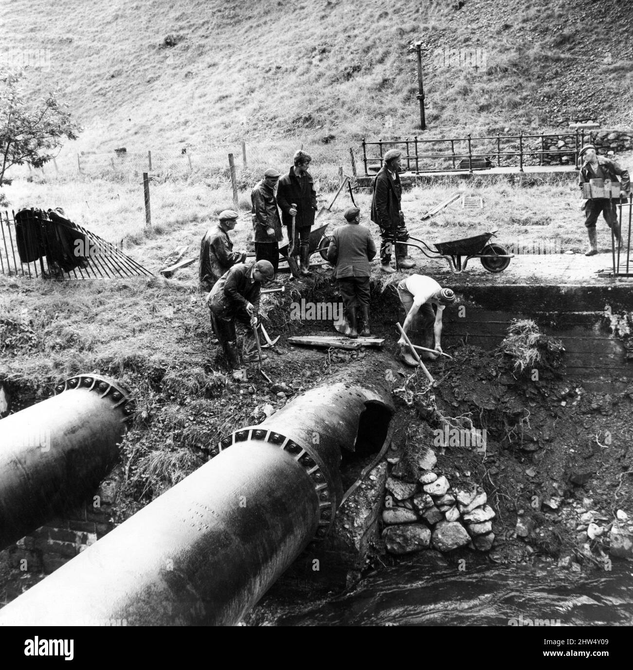 Movement for the defence of wales hi-res stock photography and images ...