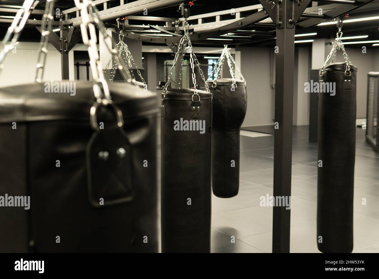 bag punching boxing boxer indoors, for power sport for punch and ...