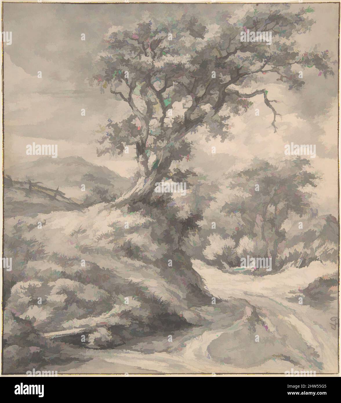 Oak tree drawing hi-res stock photography and images - Alamy