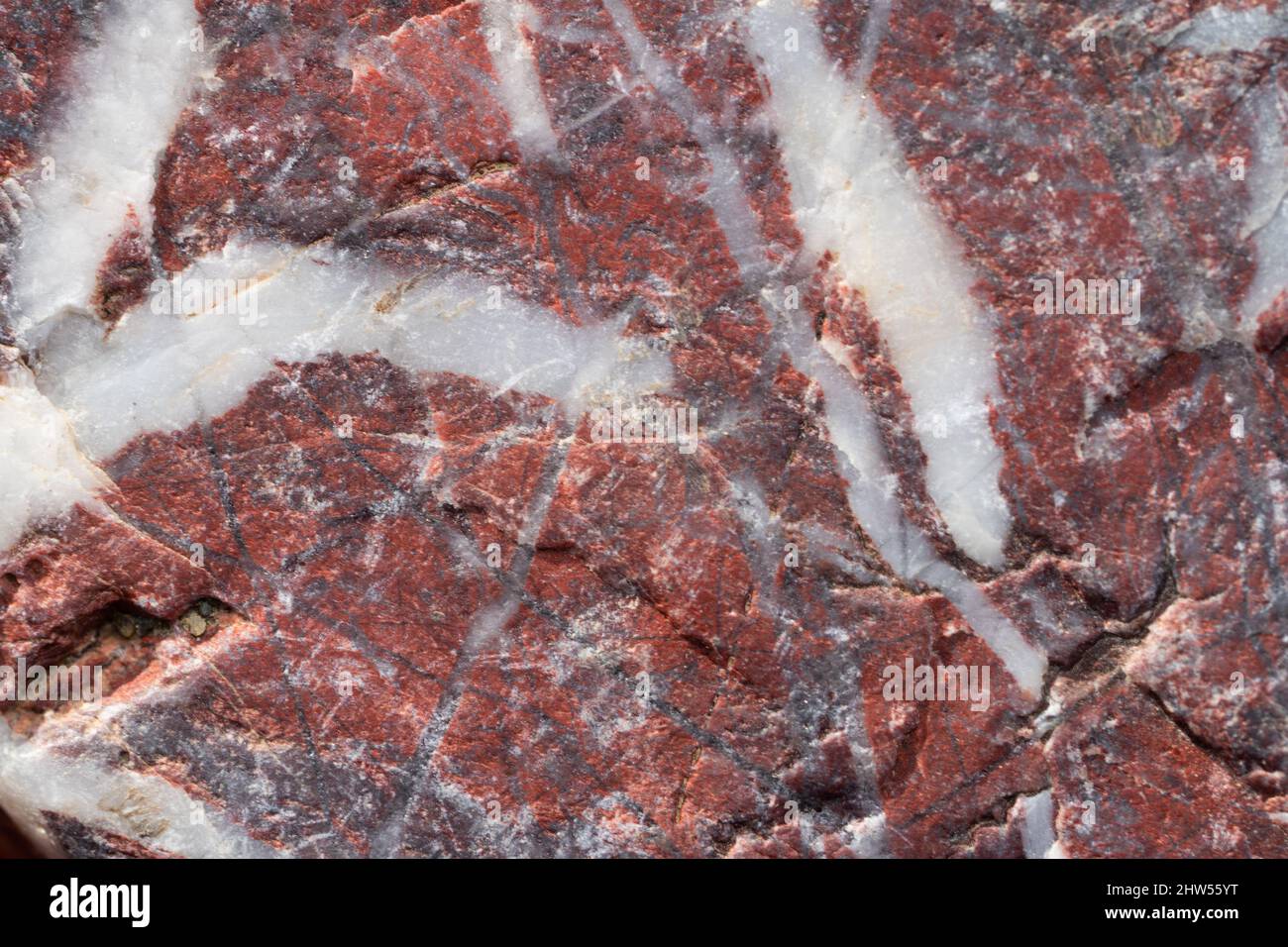 Red rock red jasper infused with white quartz Stock Photo - Alamy
