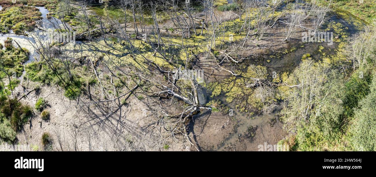 aerial panoramic view of colorful pond in the wetlands at sunny summer ...