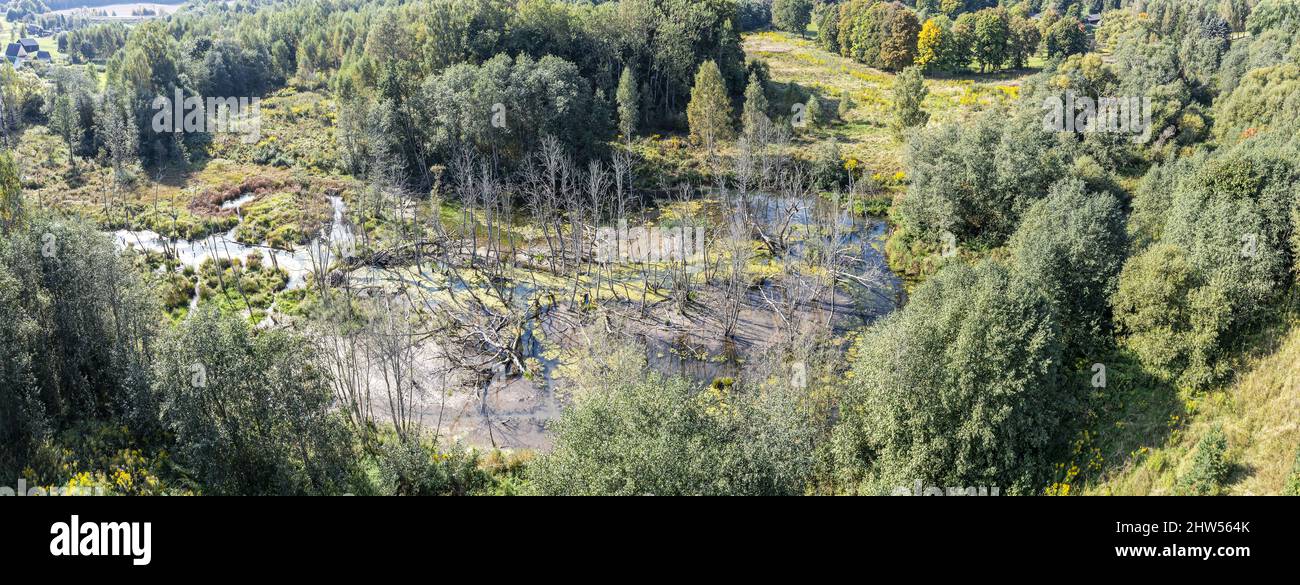 Marsh scenery hi-res stock photography and images - Alamy