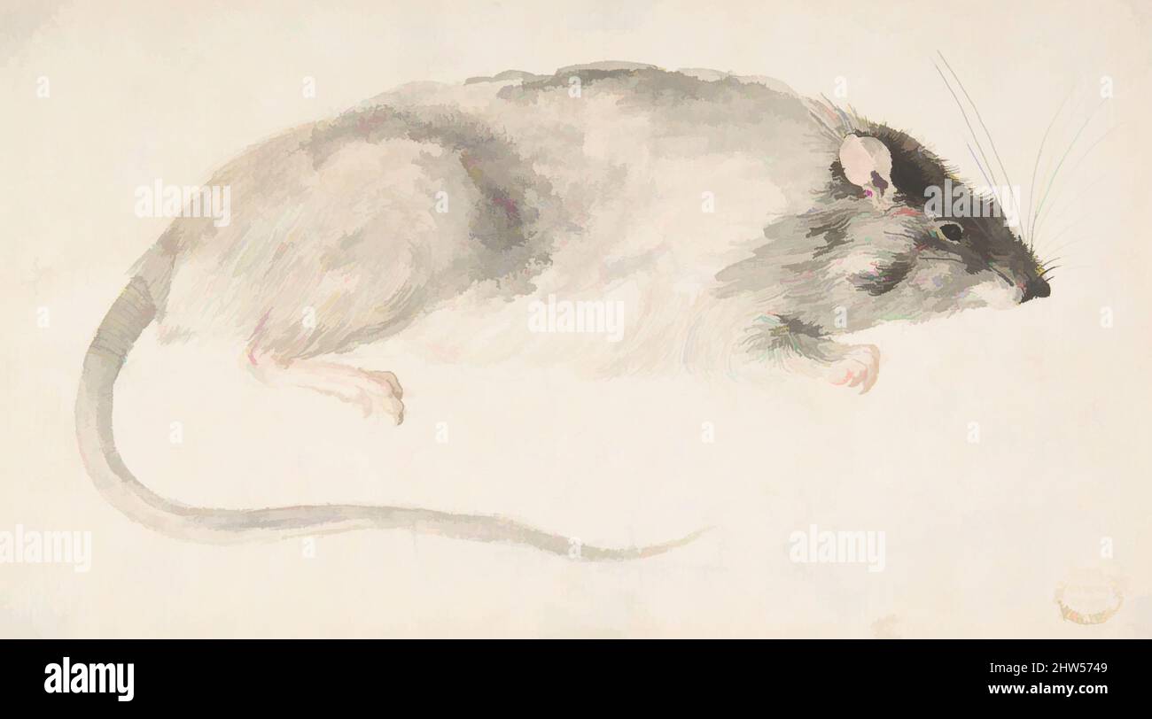 Art inspired by A Rat Seen in Profile., 1685–1755, Brush with gray ...