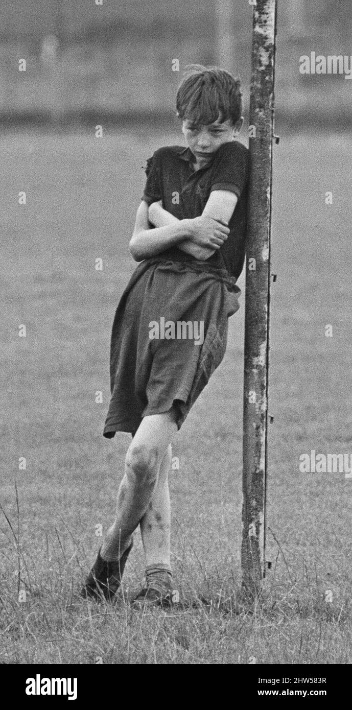 David Bradley, (aged 14) playing the part of Billy Casper, pictured ...