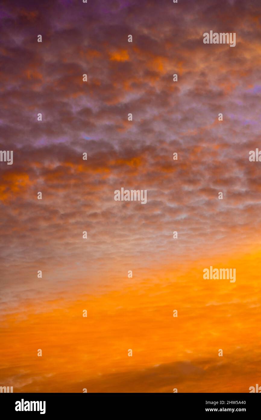 Orange sunrise sky Stock Photo - Alamy