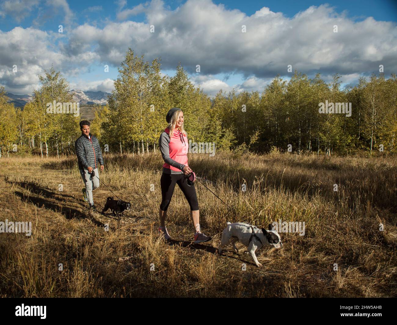 Two dogs walking hi-res stock photography and images - Alamy