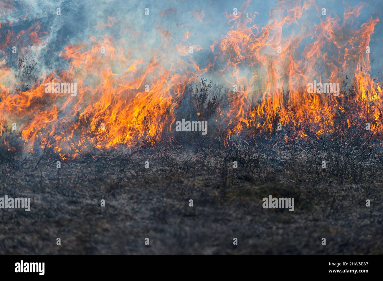 Heath fires hi-res stock photography and images - Alamy