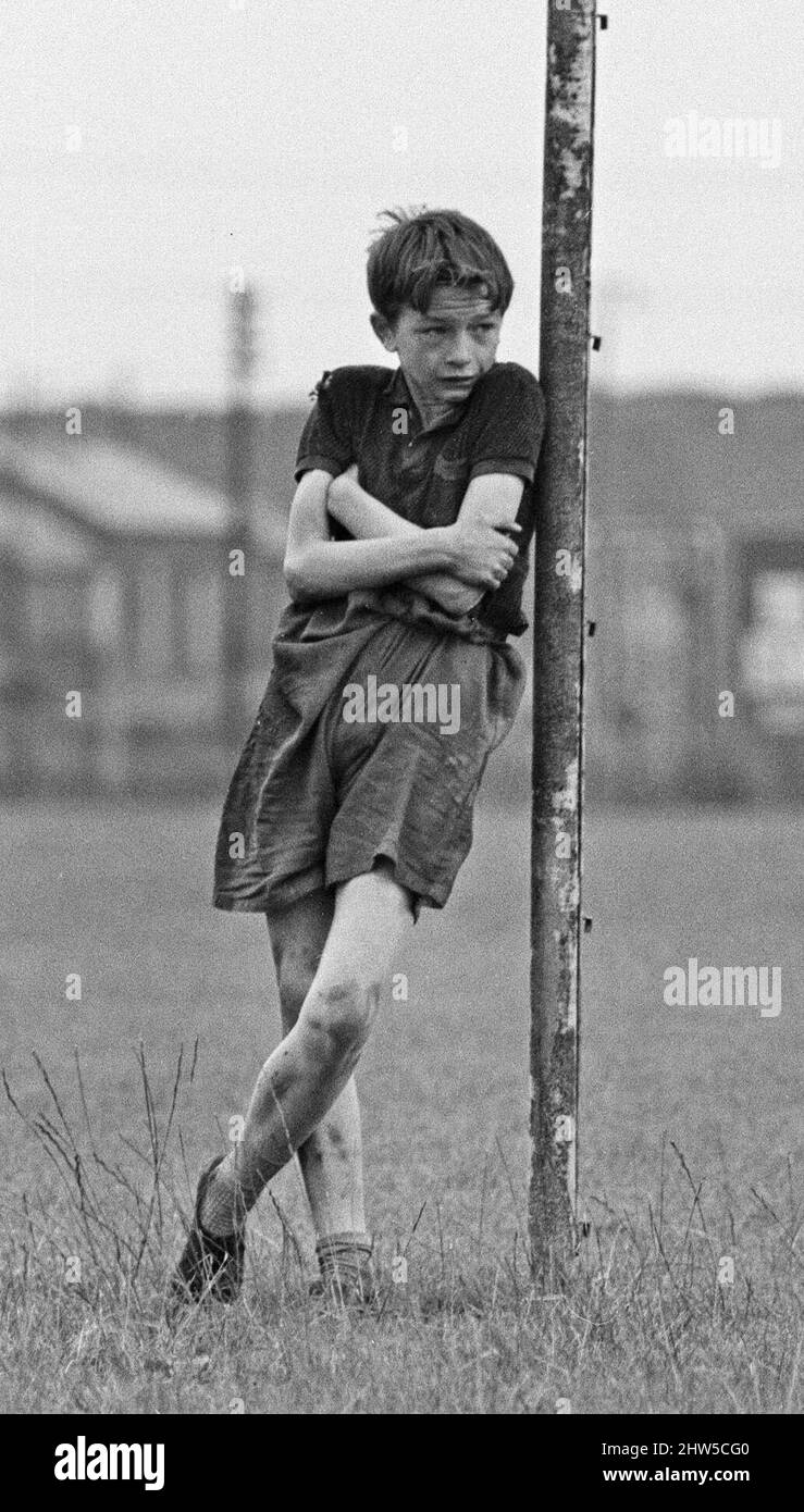 David Bradley, (aged 14) playing the part of Billy Casper, pictured ...