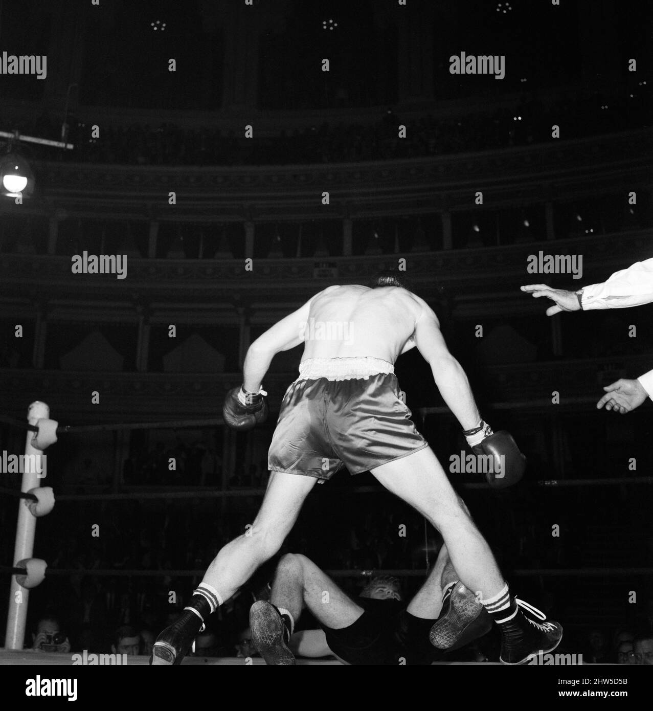Boxing at The Royal Albert Hall. Liverpool's Pat Dwyer (standing) and ...