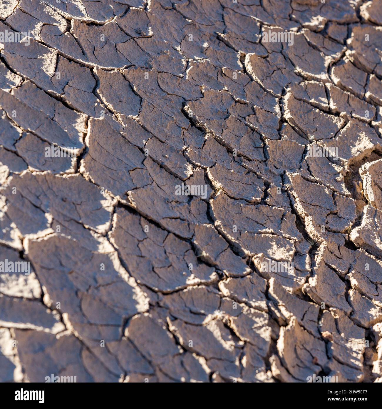 United States, Utah, Escalante, Dried streambed cracking into pieces ...