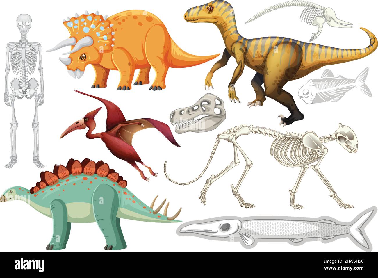 A set of dinosaur and fossil illustration Stock Vector Image & Art - Alamy