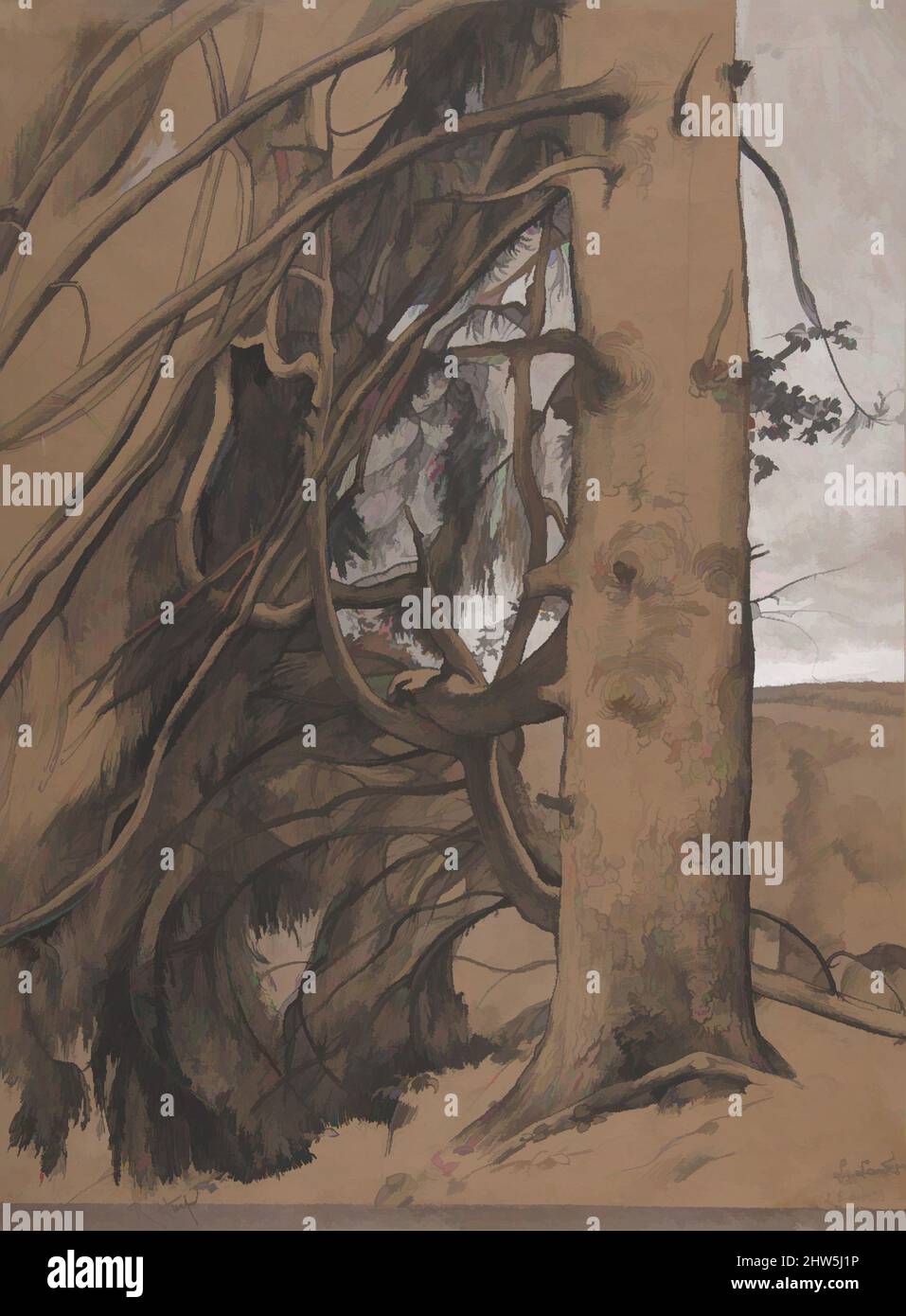 Art inspired by A Fir Tree in the Forest of the Landes, Aquitane, 1909 ...