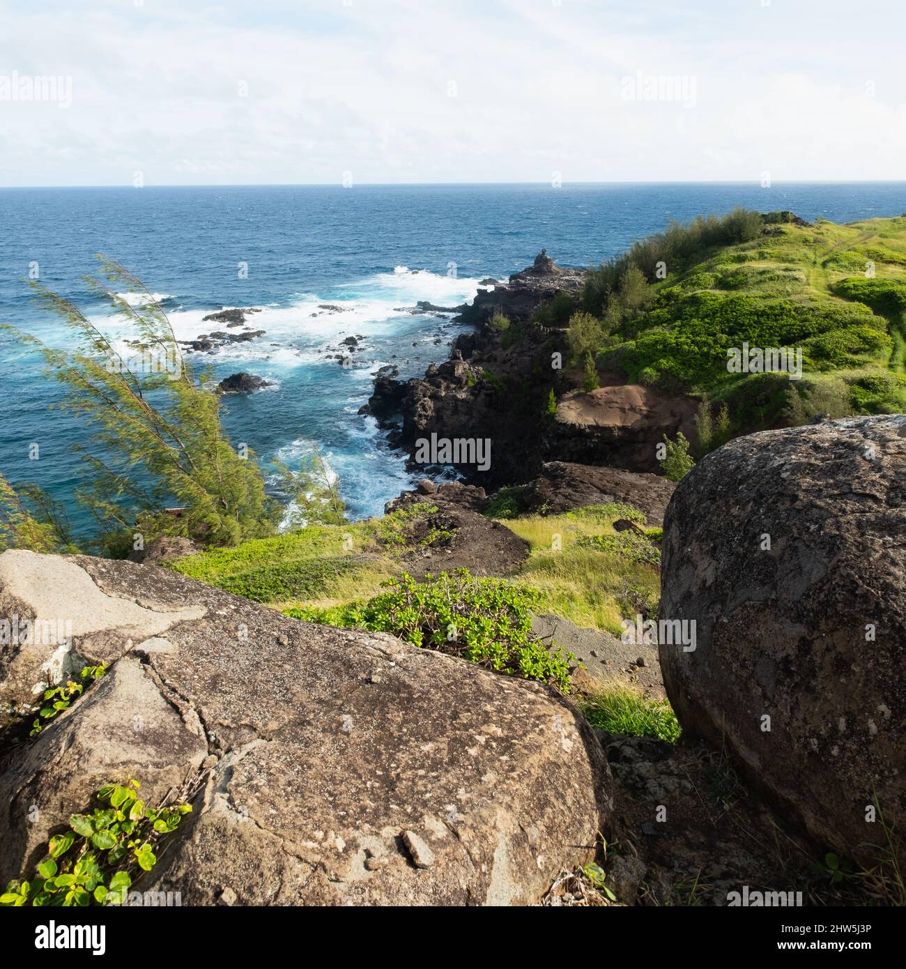 West maui natural area reserve hi-res stock photography and images - Alamy