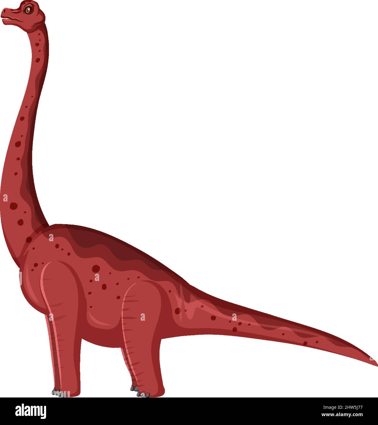 Brachiosaurus dinosaur on white background illustration Stock Vector ...