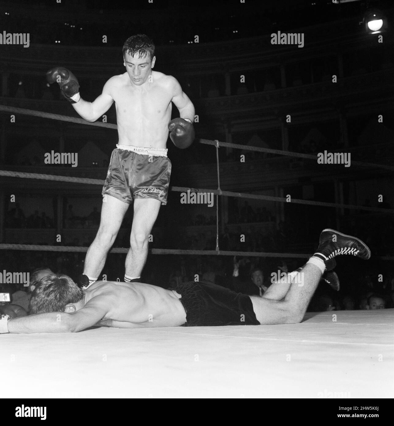 Boxing at The Royal Albert Hall. Liverpool's Pat Dwyer (standing) and ...
