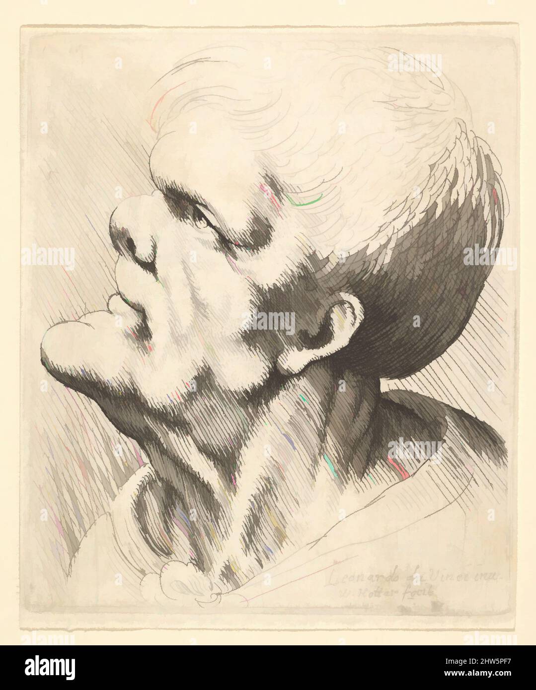 Snub nose looking upwards hi-res stock photography and images - Alamy