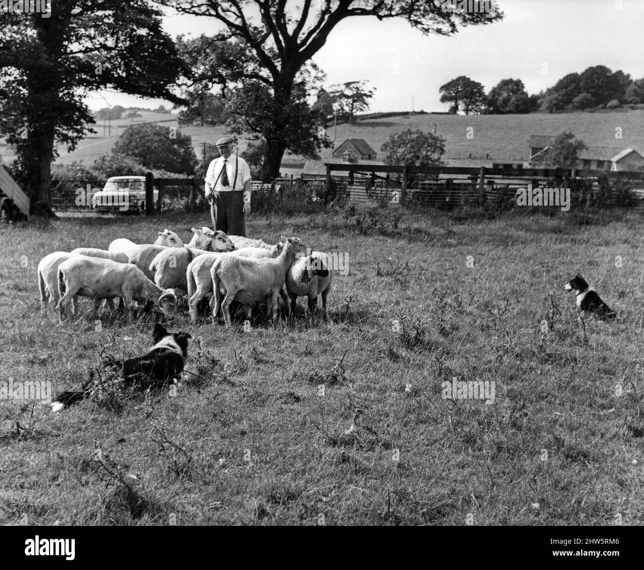 Mr Tom Cornelius, of 'The Shally', Ogmore-by-sea, practices at Alps ...