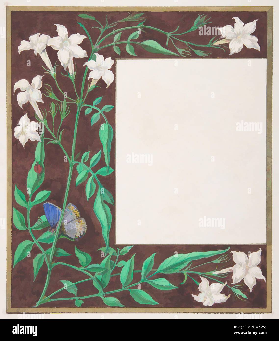 Flower Border Designs For Paper
