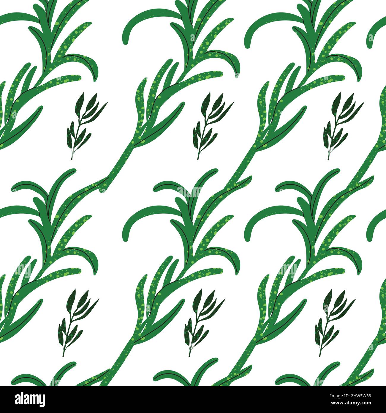 Background green fresh rosemary Stock Vector Images - Alamy