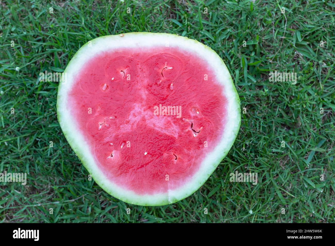 Fruit large watermelon cut open exposing rich ripe red tropical food ...
