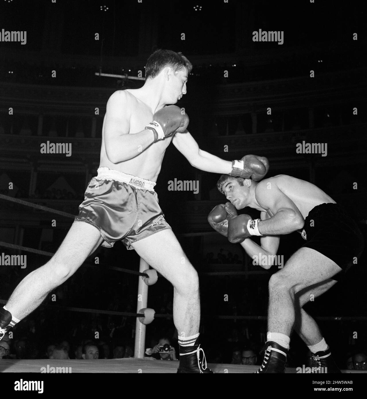 Boxing at The Royal Albert Hall. Liverpool's Pat Dwyer (left) and Mark ...