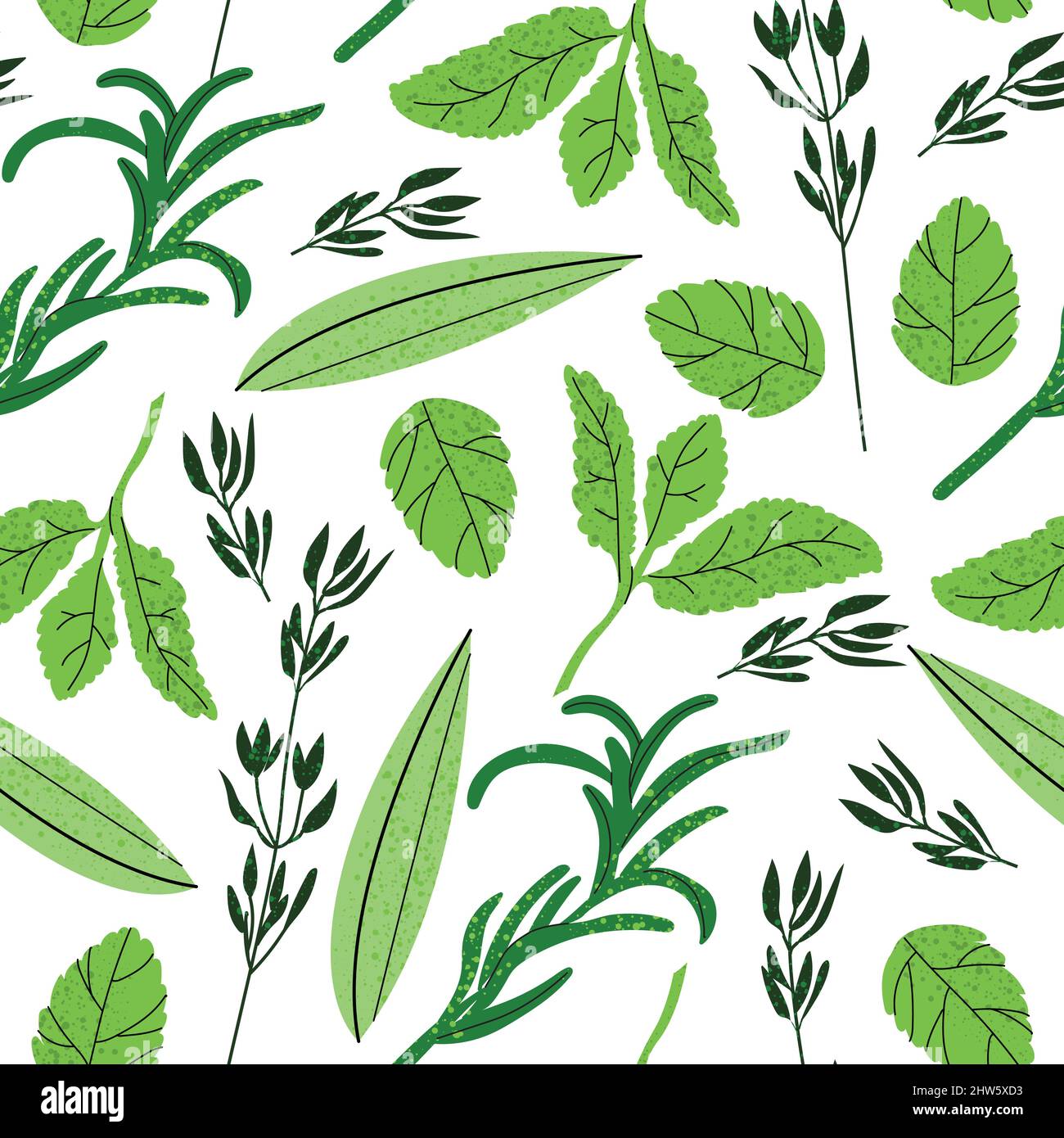 Background green fresh rosemary Stock Vector Images - Alamy